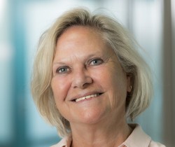 Organisation - KNCV English